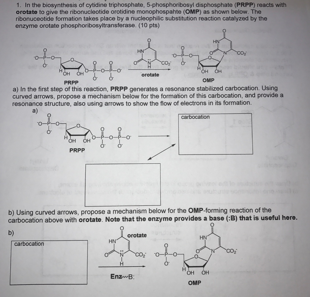 Solved 1.) In the biosynthesis of cytidine triphosphate, | Chegg.com