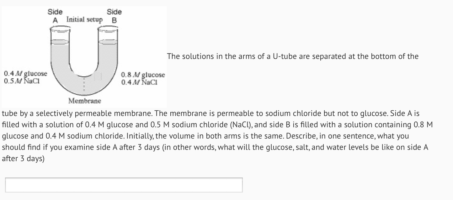 Solved The solutions in the arms of a U-tube are separated | Chegg.com