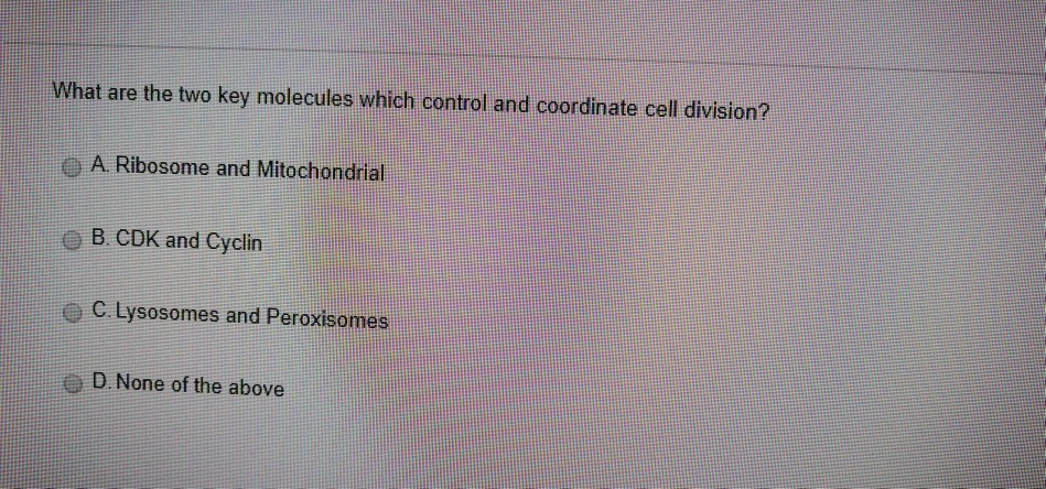 Solved Match the following Synthesis phase Gap 2 phase | Chegg.com