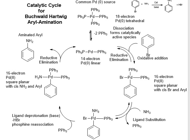 Solved For each complex indicate the geometry, coordination | Chegg.com