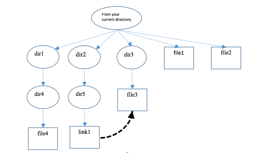 Solved Write A Shell Script To Create A Few Directories As