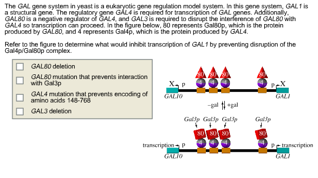 Solved The GAL gene system in yeast is a eukaryotic gene | Chegg.com