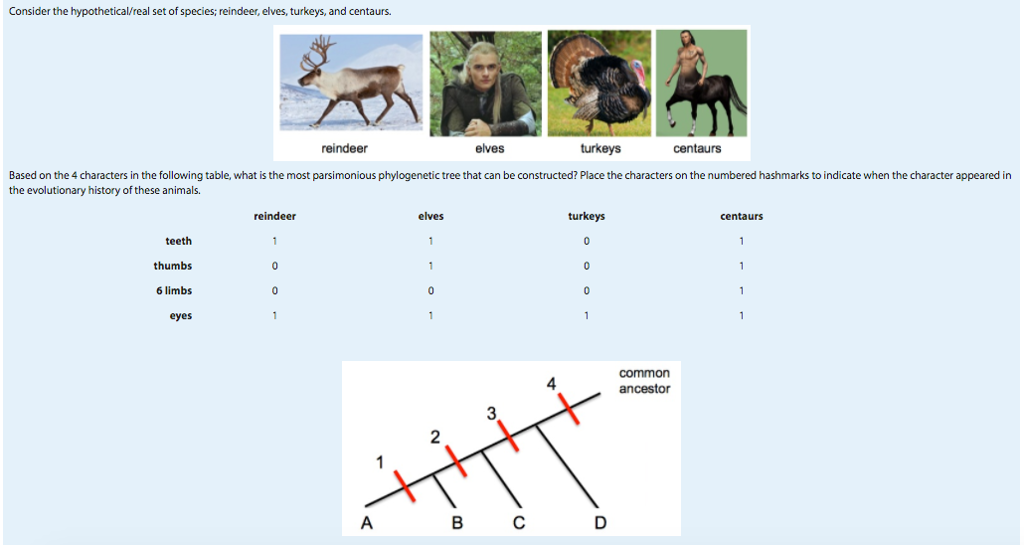 Solved: Consider The Hypothetical/real Set Of Species; Rei... | Chegg.com