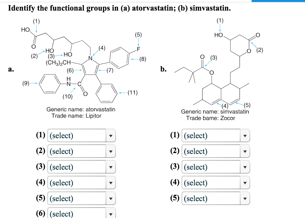 Solved Identify the functional groups in (a) atorvastatin; | Chegg.com