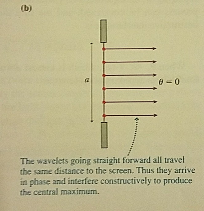Solved The wavelets going straight forward all travel the | Chegg.com