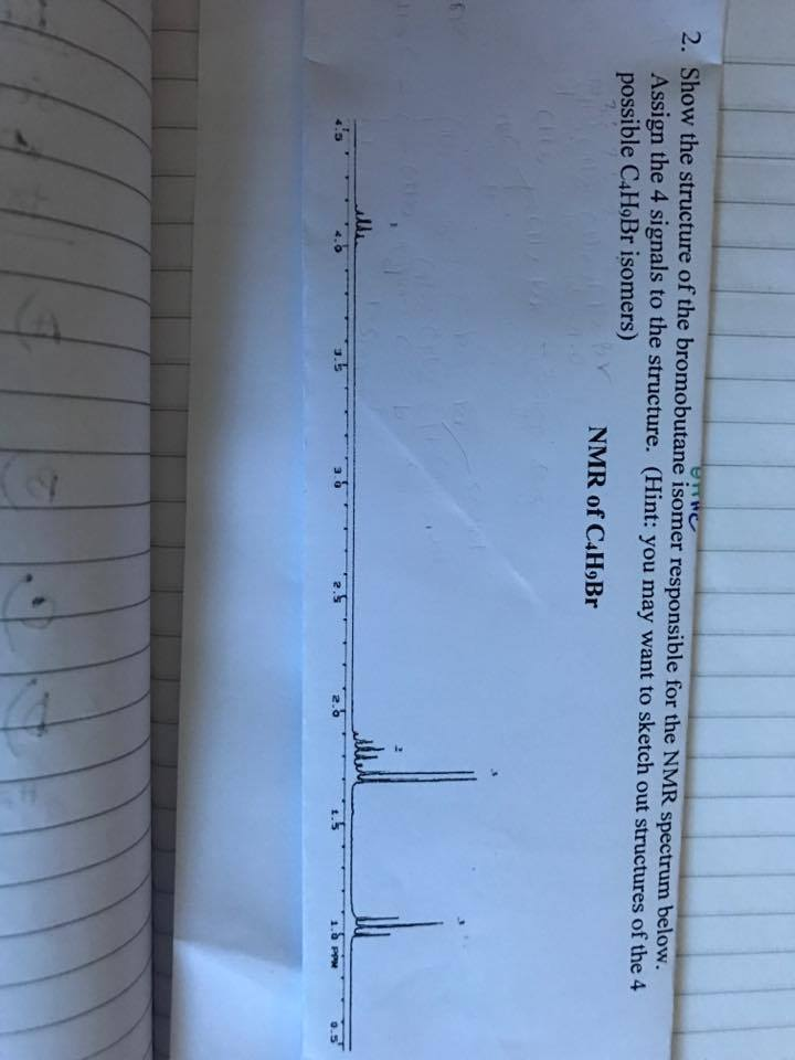 Solved Show the structure of the bromobutane isomer | Chegg.com