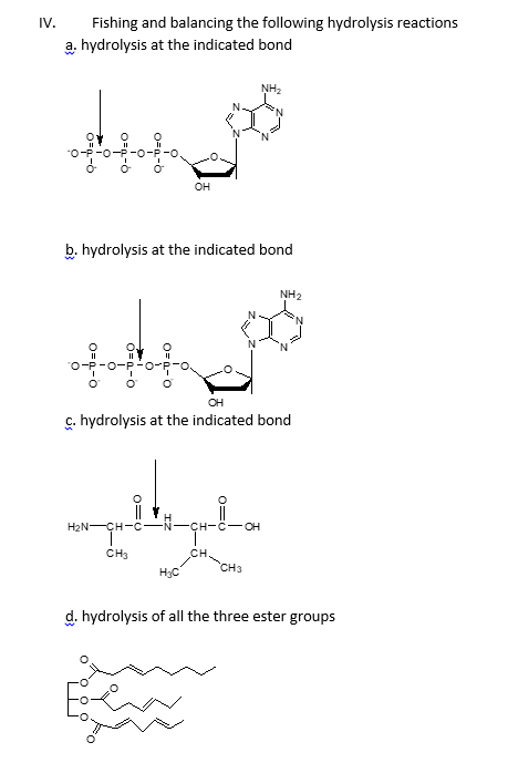 Solved Fishing and balancing the following hydrolysis | Chegg.com