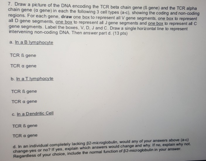 Solved 7. Draw a picture of the DNA encoding the TCR beta | Chegg.com