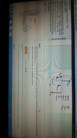 Static equilibrium | Chegg.com