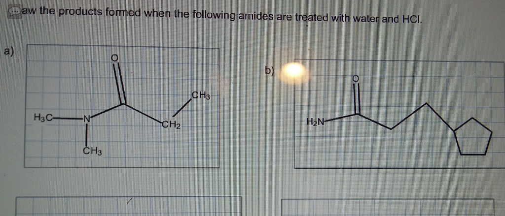 Solved Draw The Structures Of All Possible Products Formed