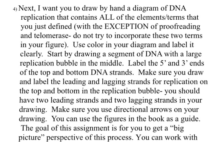 28+ Dna Replication Diagram Labeled - LloydTillie 28+ Dna Replication Diagram Labeled - LloydTillie
