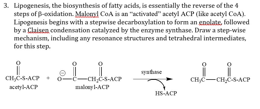 Solved Lipogenesis, the biosynthesis of fatty acids, is | Chegg.com
