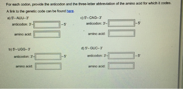 Solved For each codon, provide the anticodon and the | Chegg.com