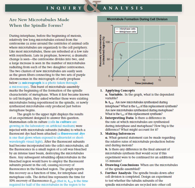 Solved Are New Microtubules Made When the Spindle Forms? | Chegg.com