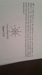 Solved Q7 A ball moves in the direction of the arrow | Chegg.com