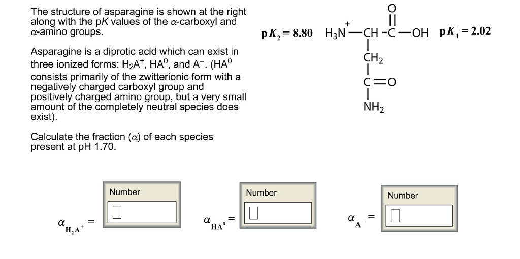 Solved The structure of asparagine is shown at the right | Chegg.com