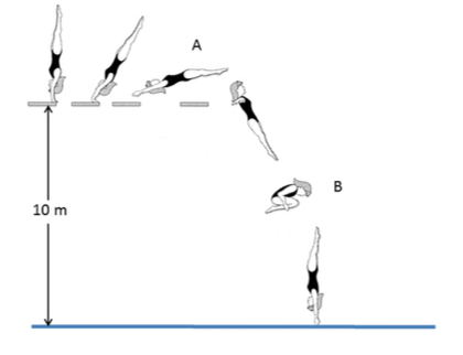 Solved A woman weighing 620 N does a handstand dive from the | Chegg.com