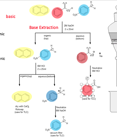 Solved O2N basic 2M NaOH Base Extraction 2x 25ml nic organic | Chegg.com