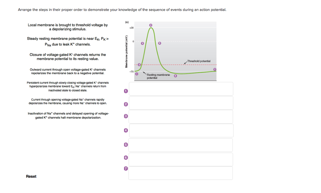 Solved Arrange the steps in their proper order to | Chegg.com