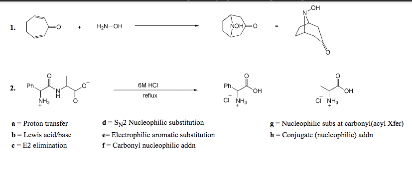 Solved O. O NH2 OH NH NH2 CH3 OH NHCH3 NH3 OgCCH2CH20% s OH | Chegg.com