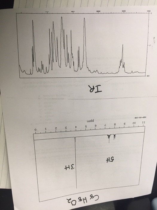Solved 7,"Reduction of Camphor" Experiment (i) The products | Chegg.com