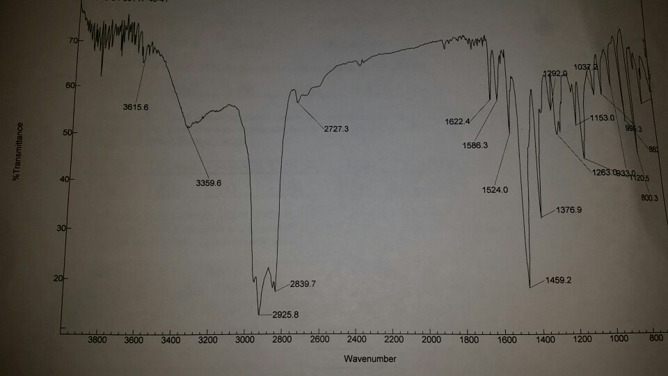 Solved what phenol is this based on this Infrared Spectrum ( | Chegg.com