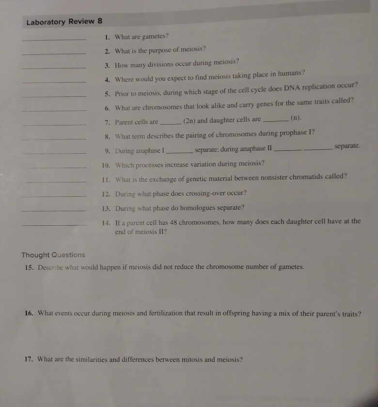 Solved Laboratory Review 8 1. What are gametes? 2. What is | Chegg.com