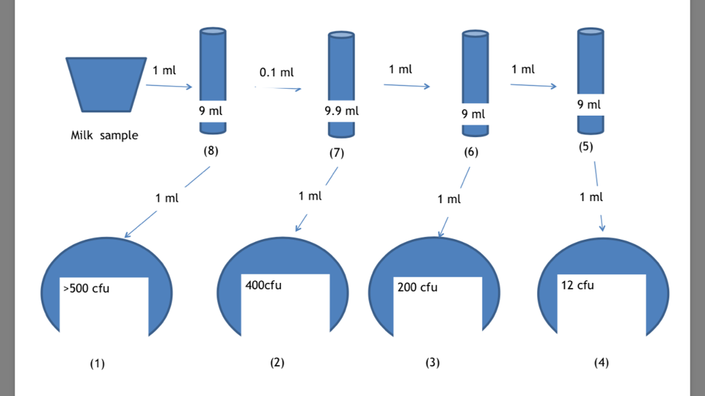 Solved 1. What are the dilution factors of each tube and | Chegg.com
