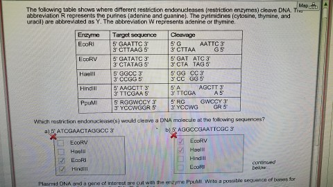 Solved The following table shows where different restriction | Chegg.com
