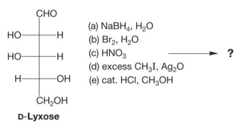 Solved What are the principal organic products when D-lyxose | Chegg.com