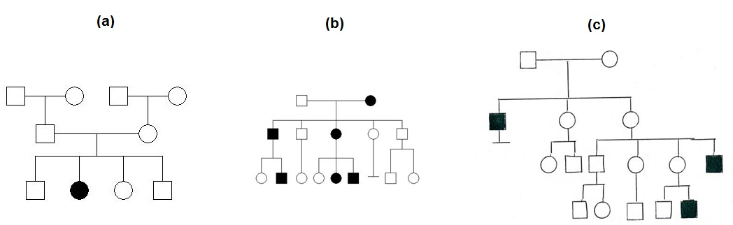 Solved Consider pedigrees (a), (b) and (c) and determine | Chegg.com Solved Consider pedigrees (a), (b) and (c) and determine | Chegg.com
