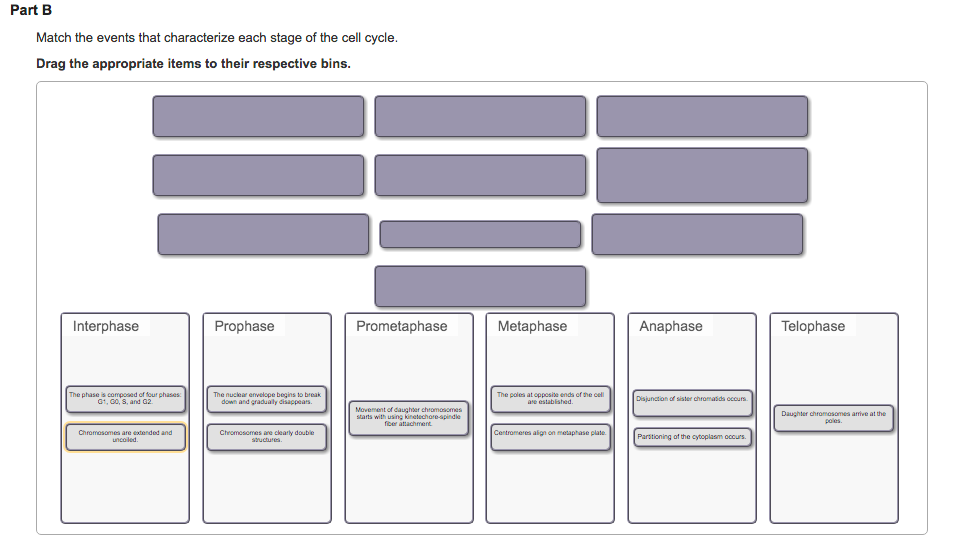 Biology Archive | November 09, 2017 | Chegg.com
