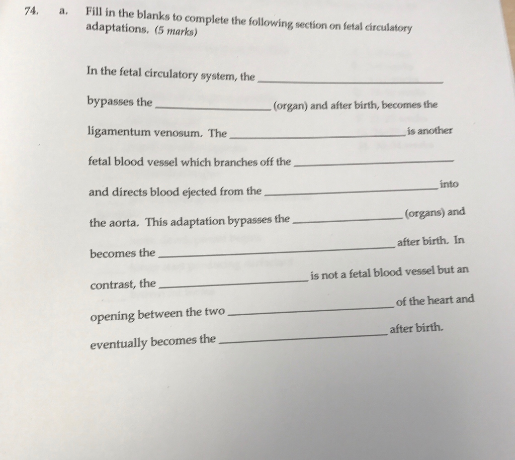Solved Fill in the blanks to complete the following section | Chegg.com