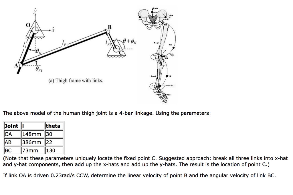 Solved The above model of the human thigh joint is a 4-bar | Chegg.com