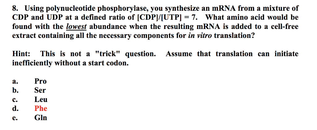 Polynucleotide Definition