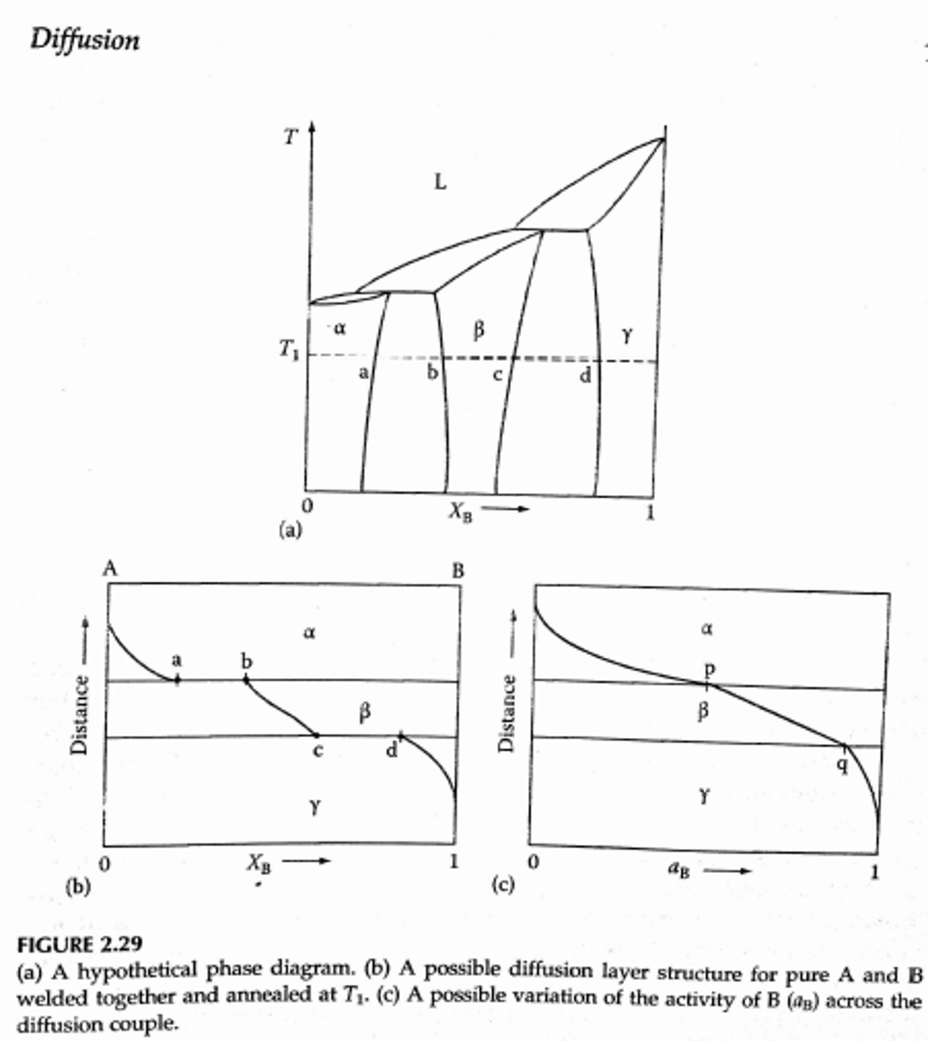 Materials Engineering: Draw possible free | Chegg.com
