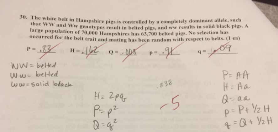 Solved tat Ww elt in Hampshire pigs is controlled by a | Chegg.com