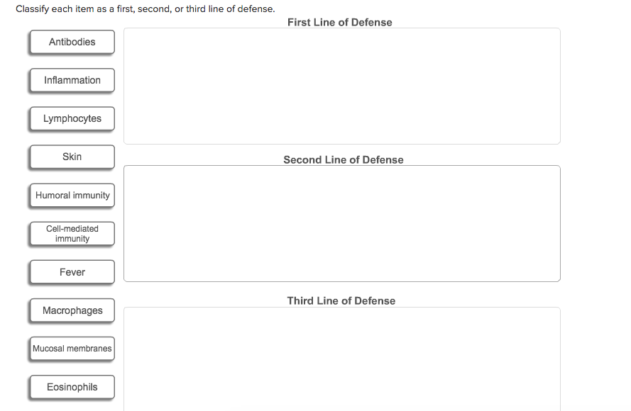 Solved Classify each item as a first, second or third line | Chegg.com