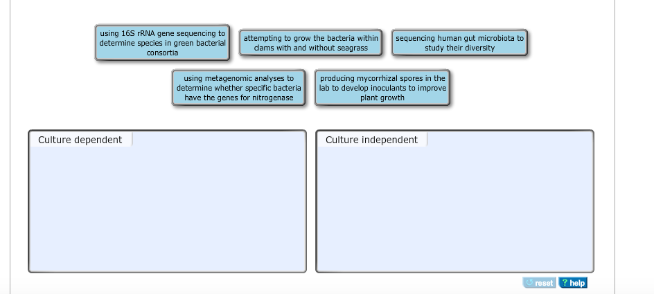Solved Part F - Culture-Dependent and Culture-Independent | Chegg.com