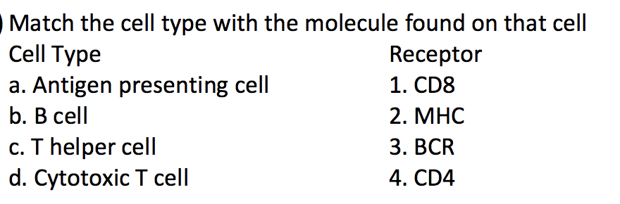 Solved Match the cell type with the molecule found on that | Chegg.com