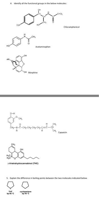 Solved Identify all the functional groups in the below | Chegg.com