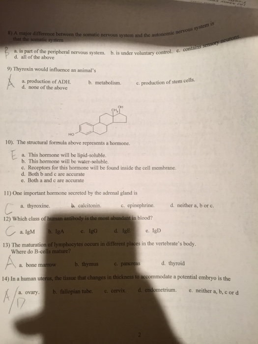 Solved A major difference between the somatic nervous system | Chegg.com