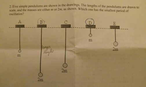 Solved wn in the drawings. The lengths of the pendulums are | Chegg.com