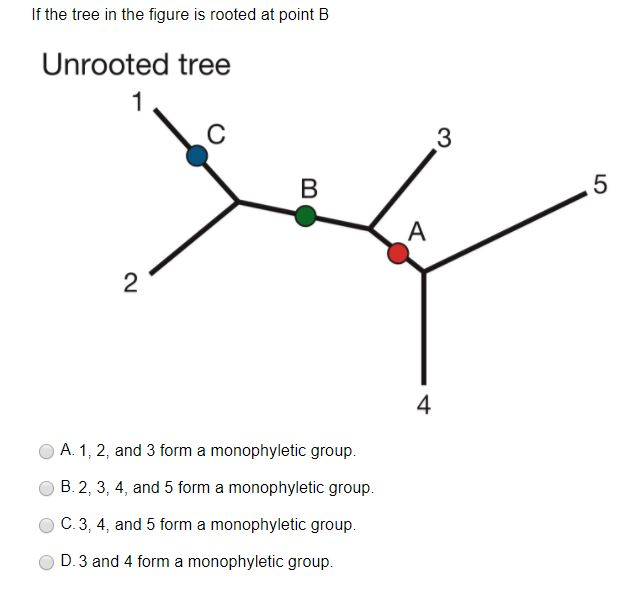 Solved If the tree in the figure is rooted at point B | Chegg.com