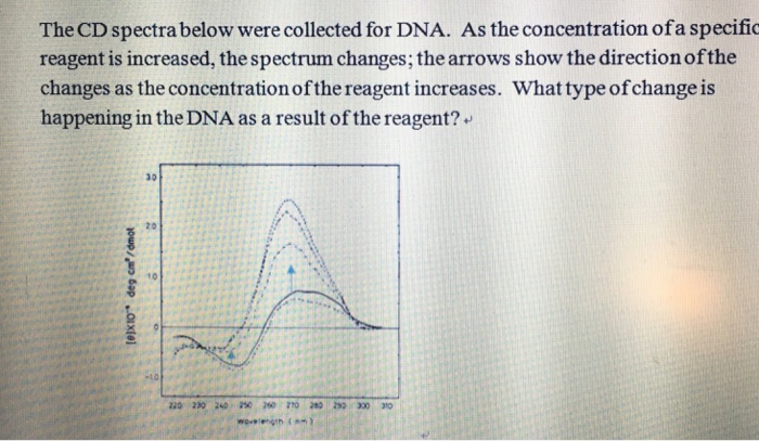 Solved The CD spectra below were collected for DNA. As the | Chegg.com