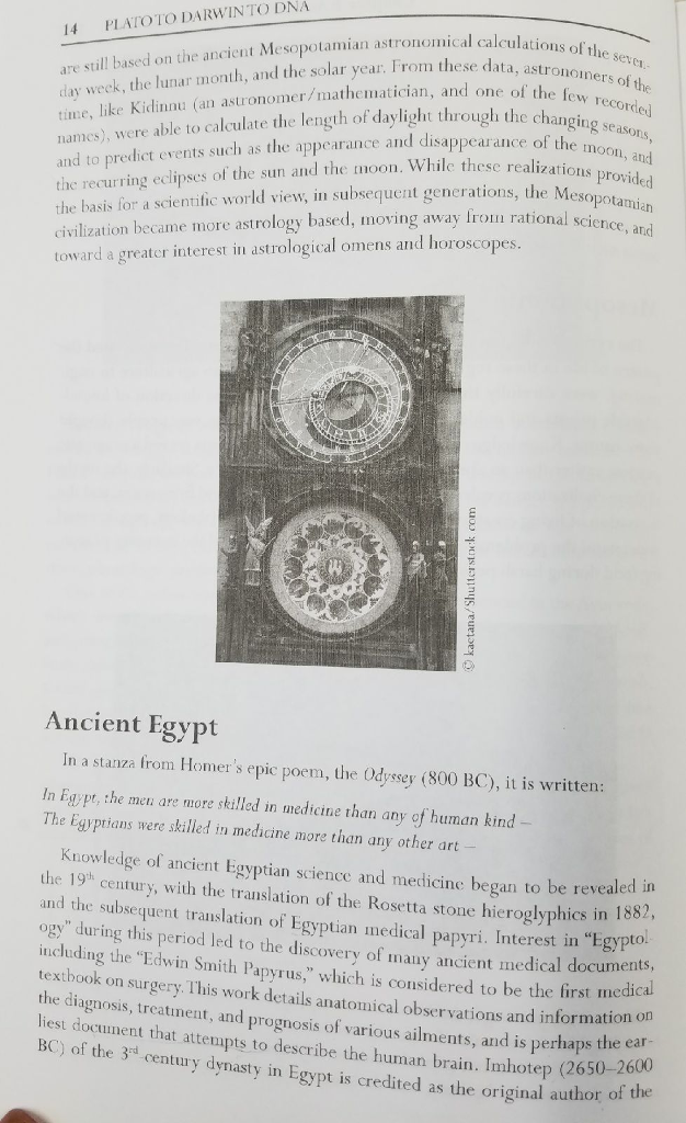 Solved CHAPTER 2 n cient Cultures-- Diverse Ideas Although | Chegg.com