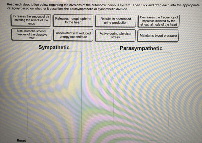 Solved Read each description below regarding the divisions | Chegg.com
