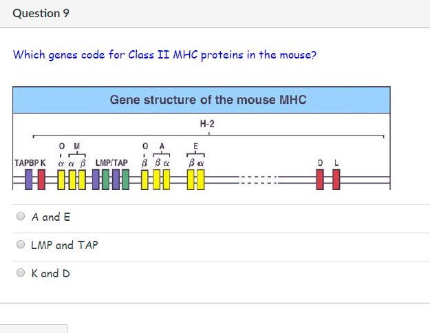 Solved Question 9 Which genes code for Class II MHC proteins | Chegg.com