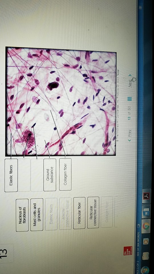 Solved please help me complete... label the tissue and | Chegg.com