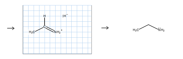 Solved Draw a mechanism for the reduction of the amide with | Chegg.com